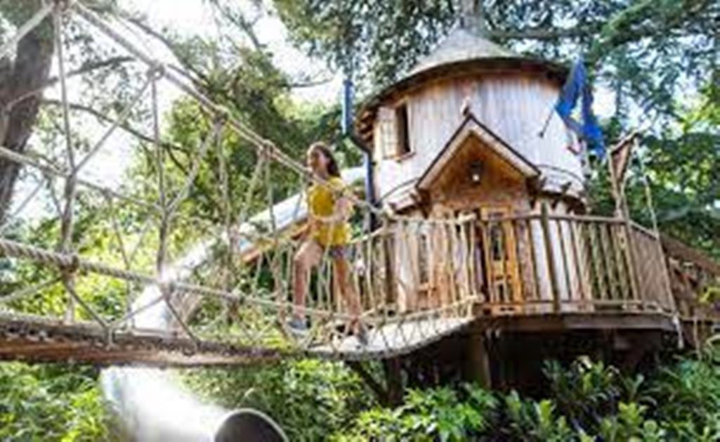 How to Build the Ideal Children's Treehouse: A Safe and Fun Outdoor ...